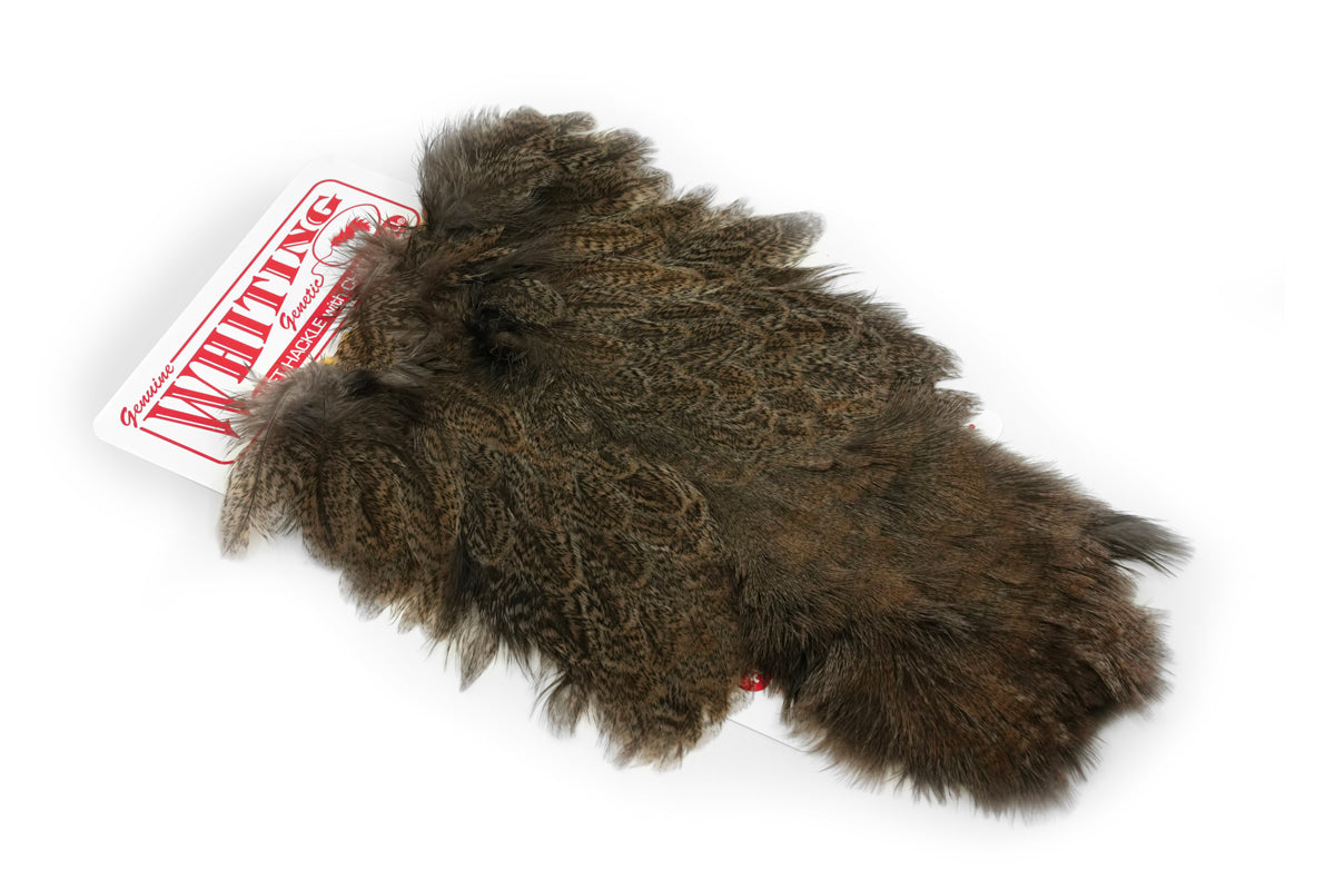 Whiting Coq De Leon Soft Hackle with Chickabou – Whiting Farms